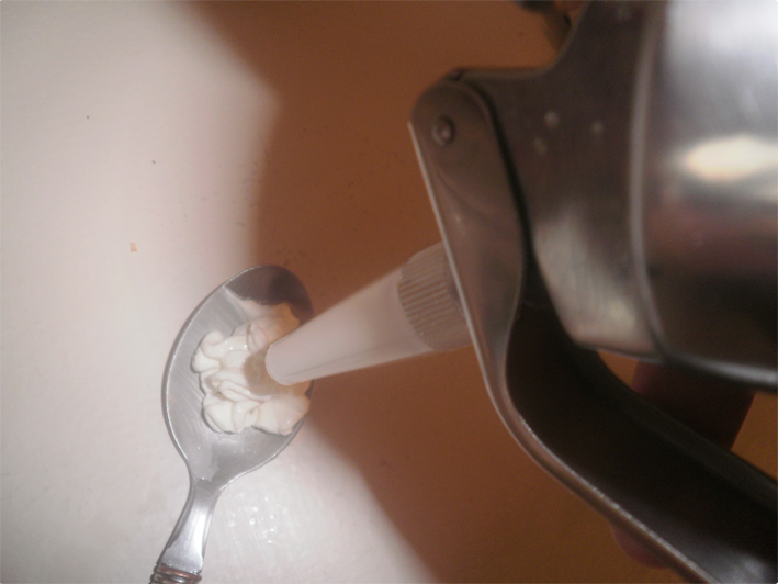 Chantilly au siphon - Amandise
